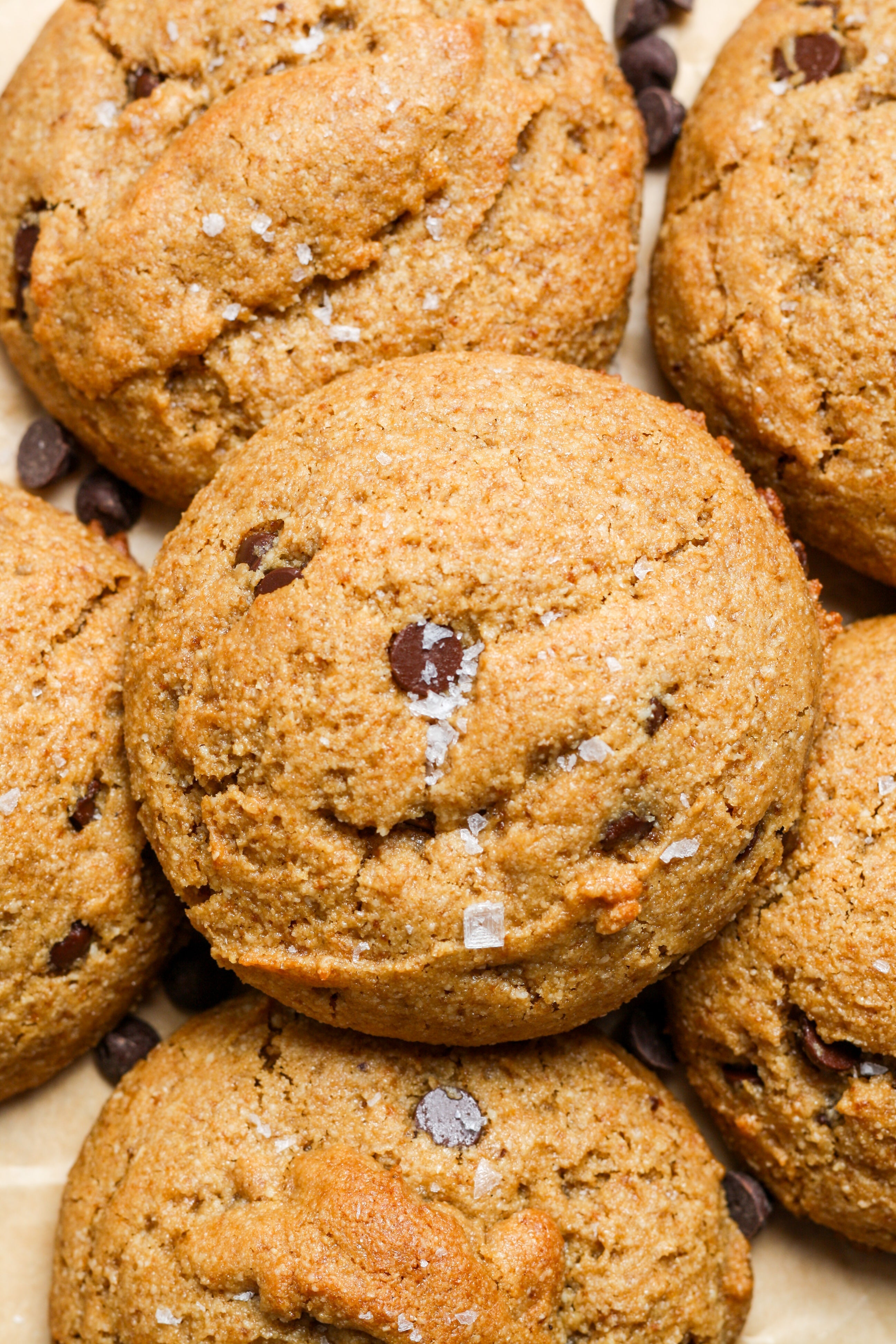 Vegan Chocolate Chip Cookies – Sweet Addison's